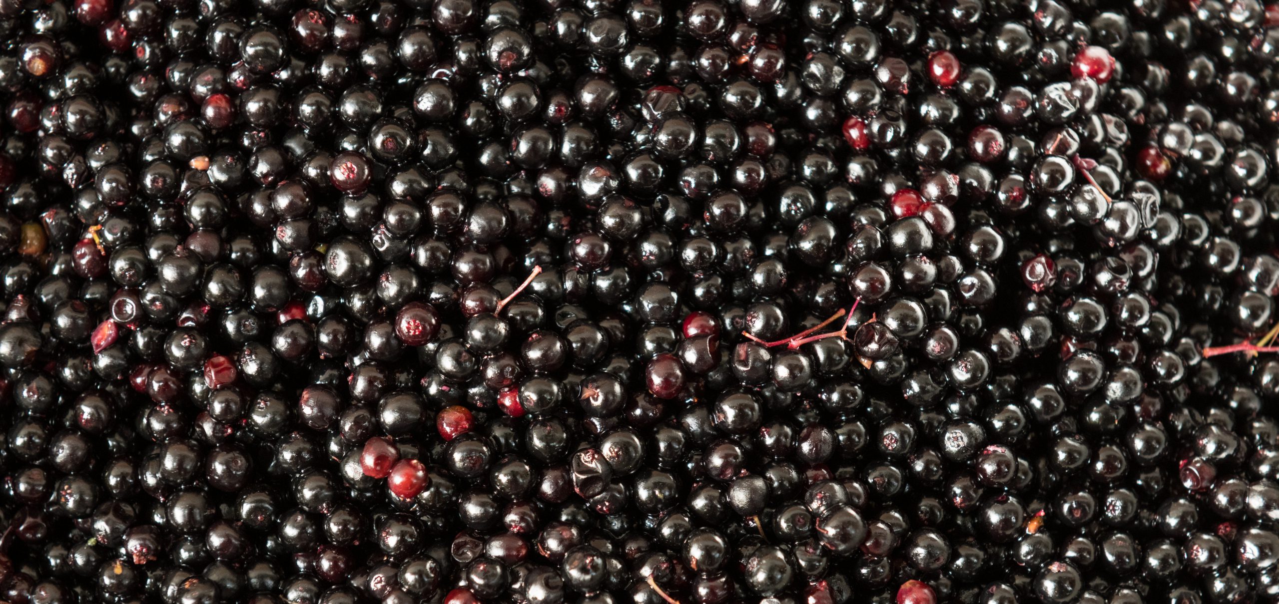 E is for ... - Kids Fruit