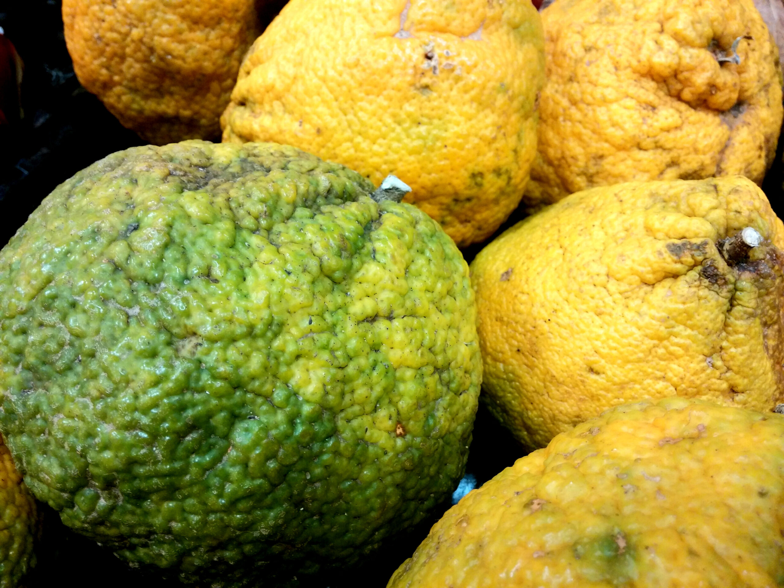 Ugli fruit store