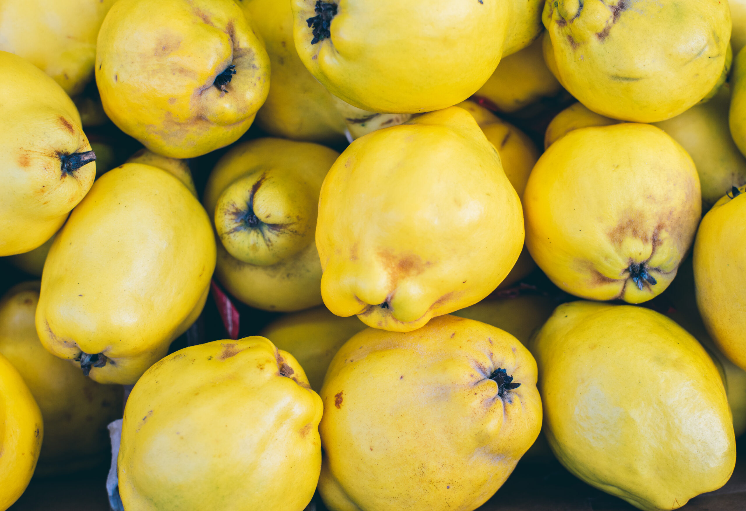 Q is for ... - Kids Fruit