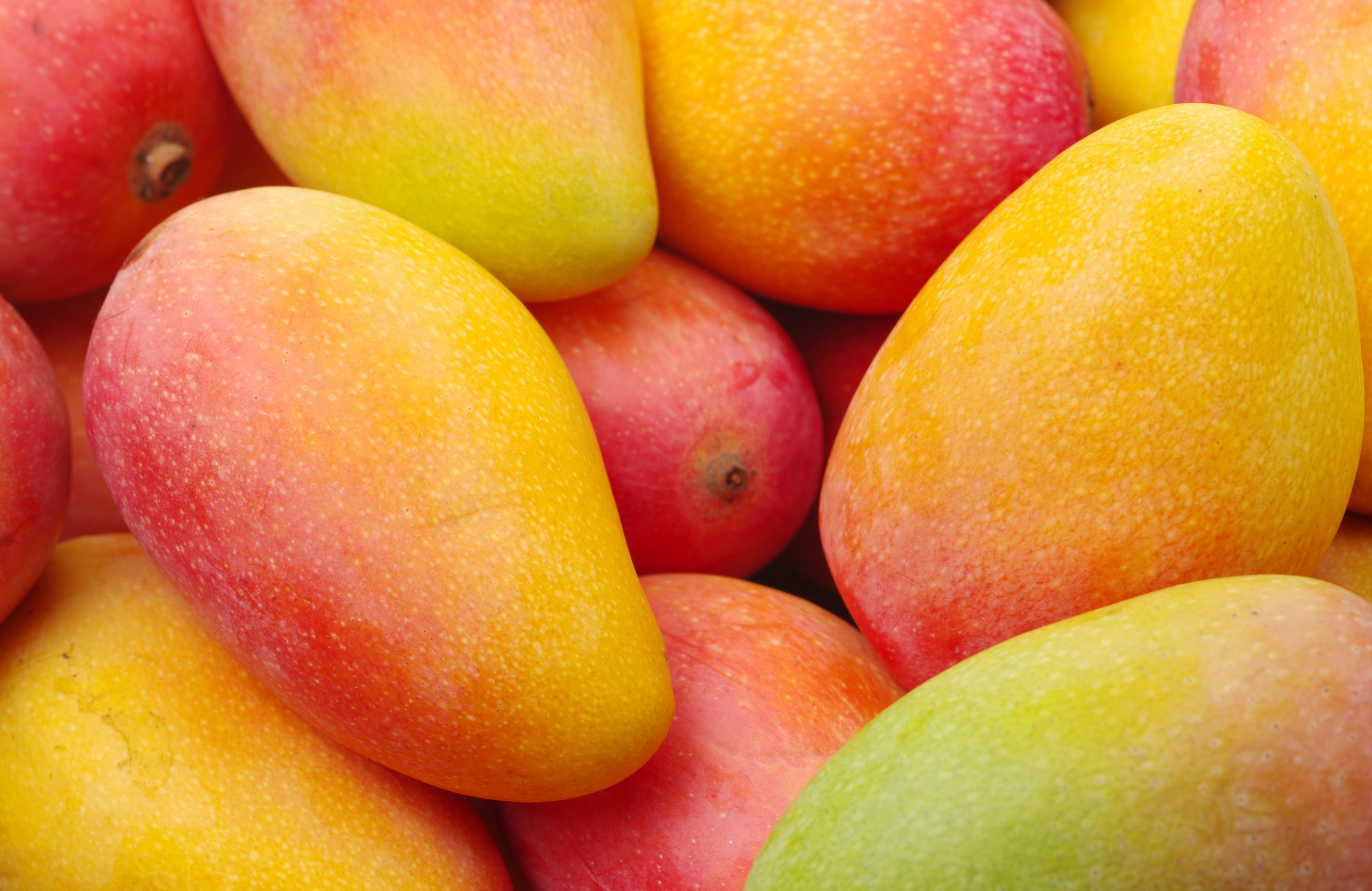 M is for ... - Kids Fruit