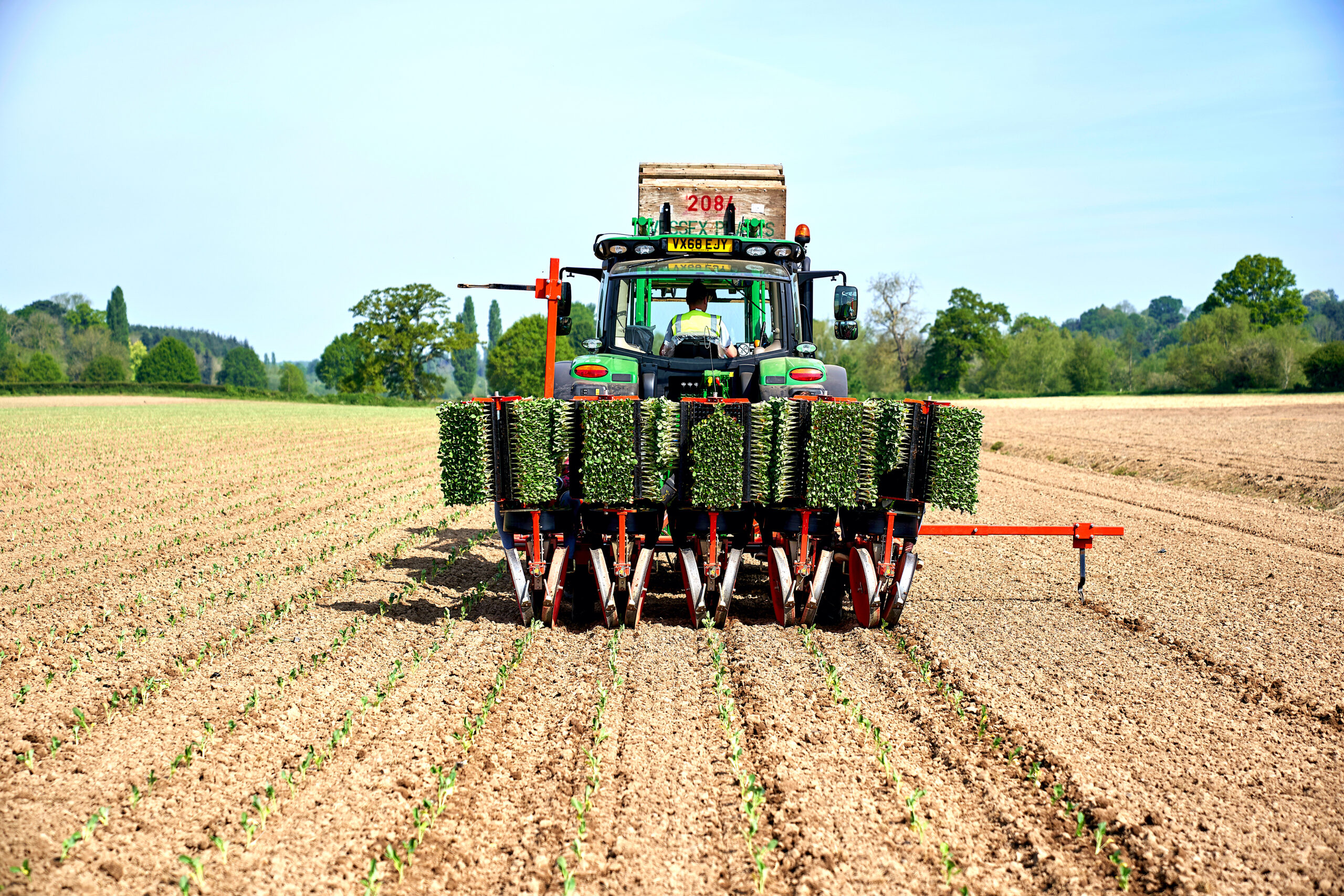 Farming Update: May Edition - Kids Fruit